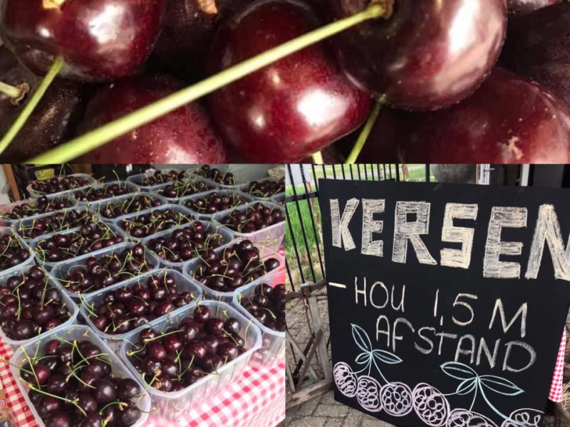 Home | Lingehof. Tuin- en Woondecoratie